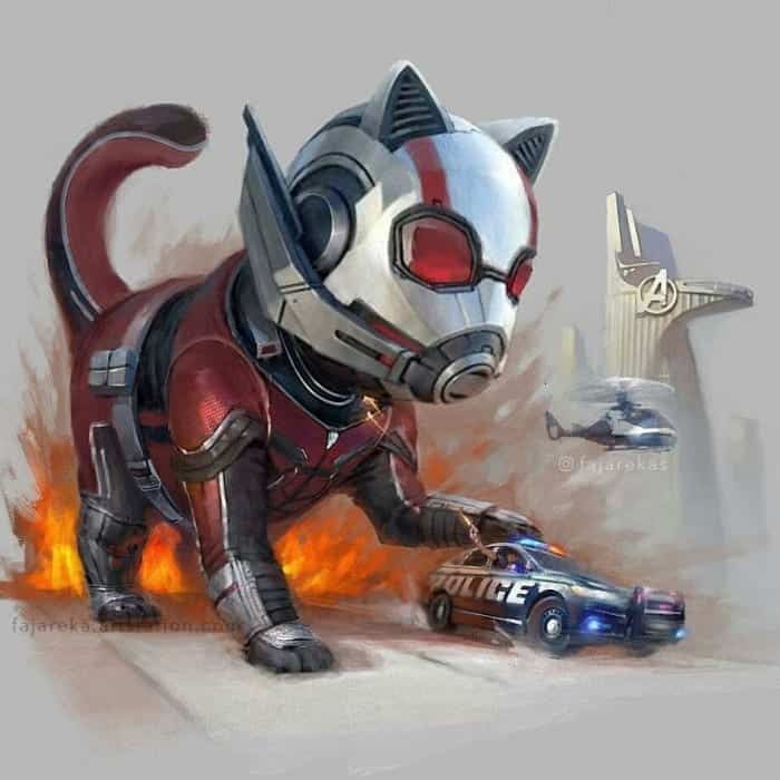 Artist Transforms Cats Into DC & Marvel Characters - Cattitude Daily