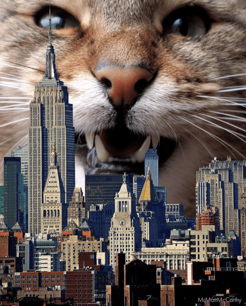 Artist Matt McCarthy Makes Surreal Cats Come To Life - Cattitude Daily